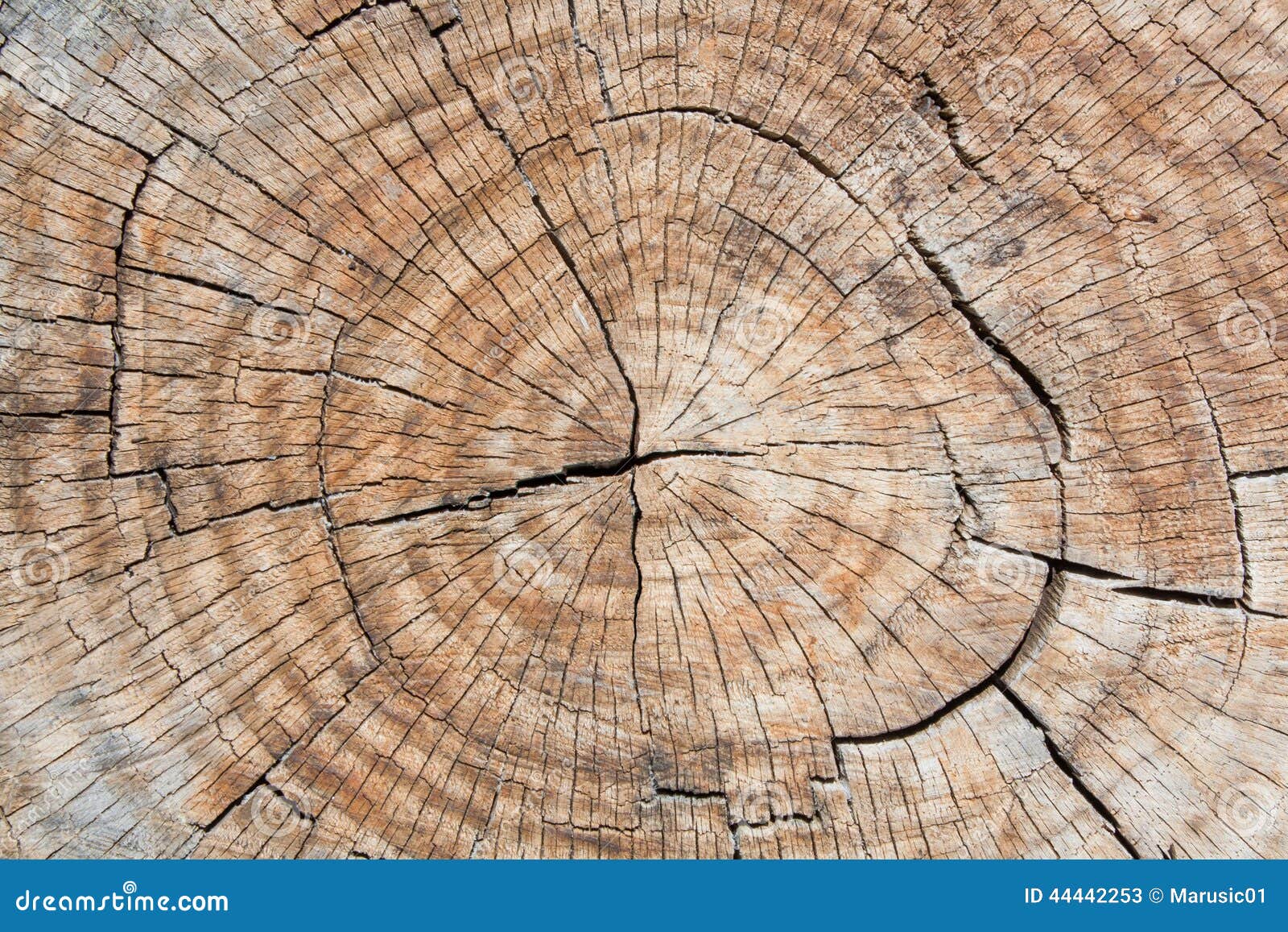 Wooden Texture stock image. Image of parquet, material - 44442253