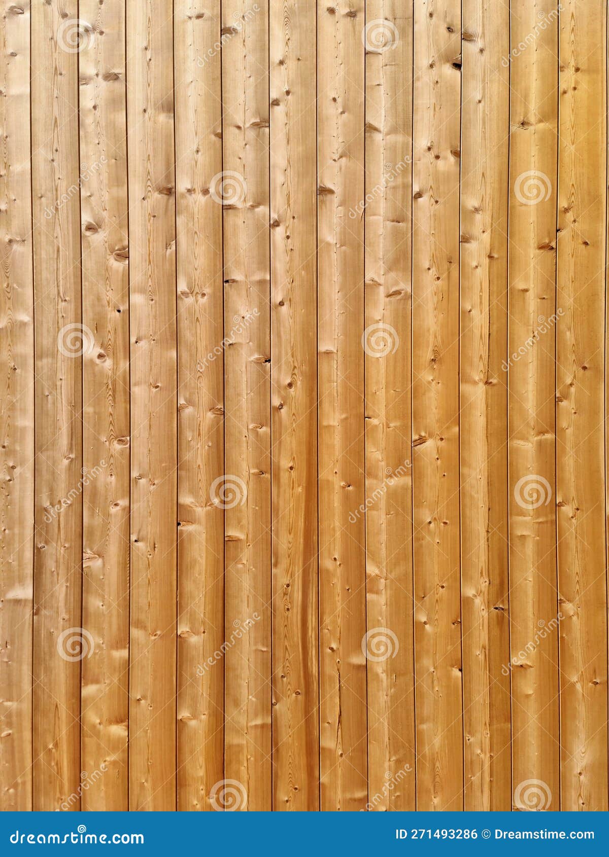 Wooden texture - vertical stock photo. Image of vertical - 271493286