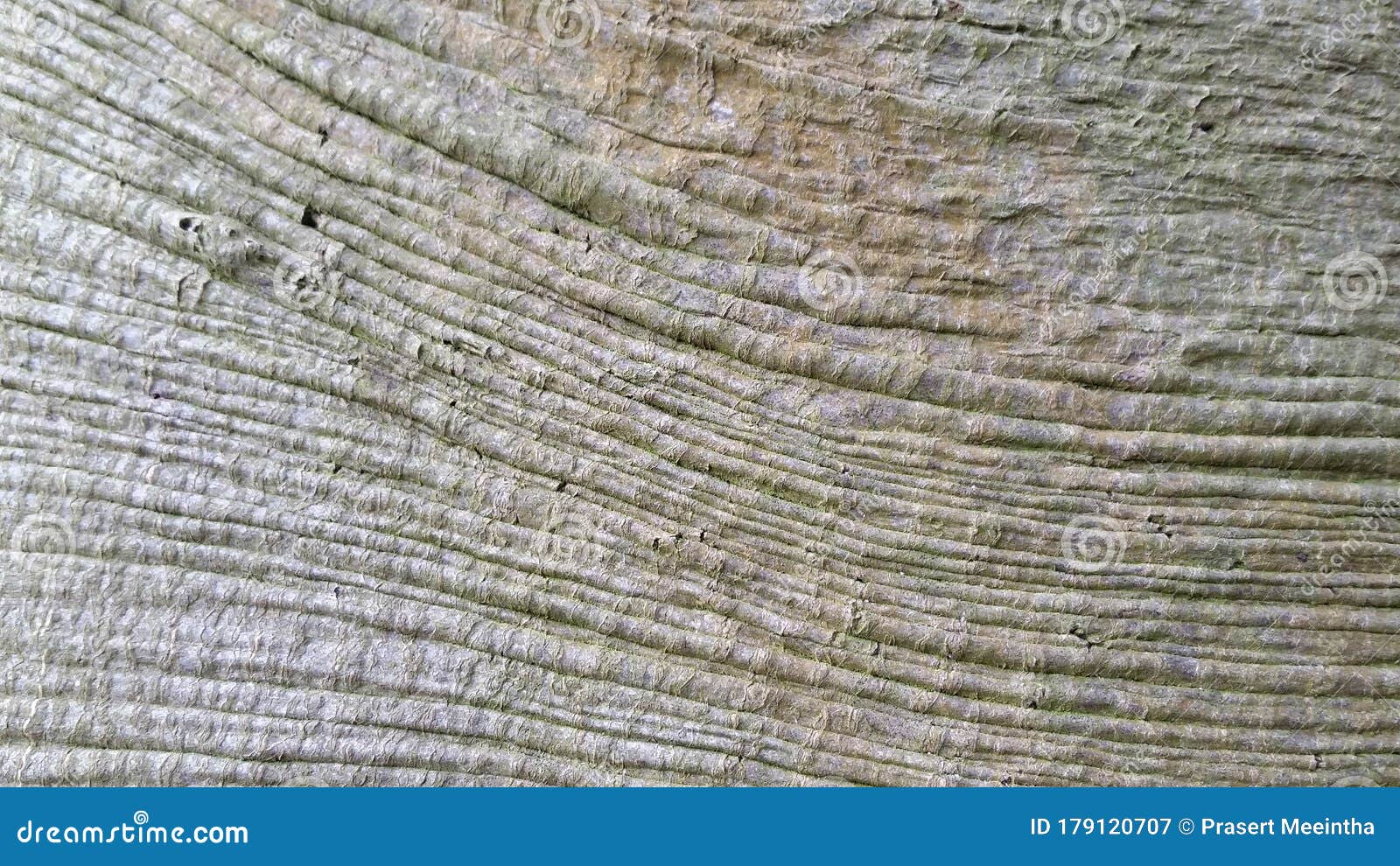 Natural Textures stock image. Image of forest, retro - 179120707