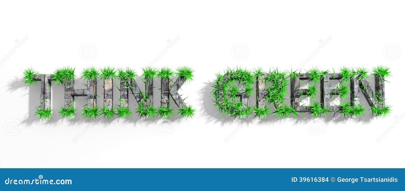 Grass Growth Stages. Grasses For Lawn. Ripening Period. Vector ...