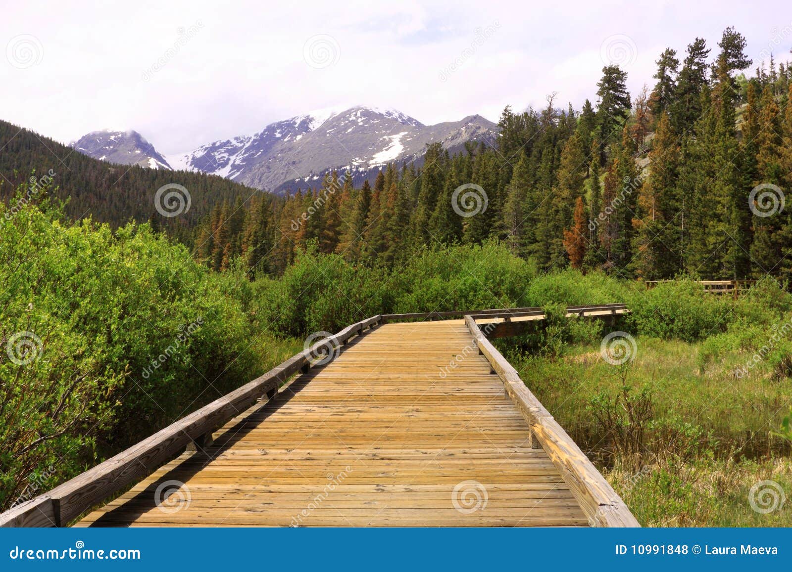Wooden Trail with Mountain Scene Stock Photo - Image of tranquil, color ...