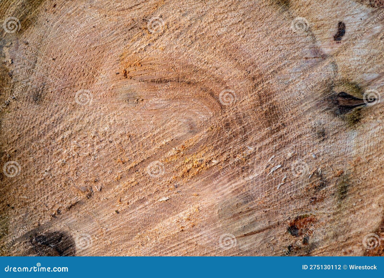 Wooden Tree Bark Background for Wallpapers Stock Photo - Image of ...