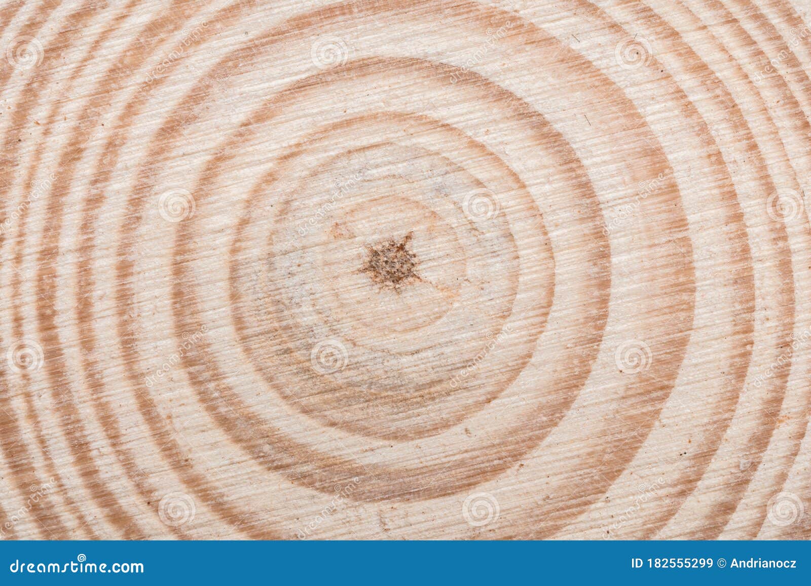 Wooden Tree Cut Surface with Organic Tree Rings Stock Image - Image of ...