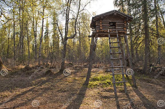 Wooden tree fort stock photo. Image of hunting, trees - 12282298