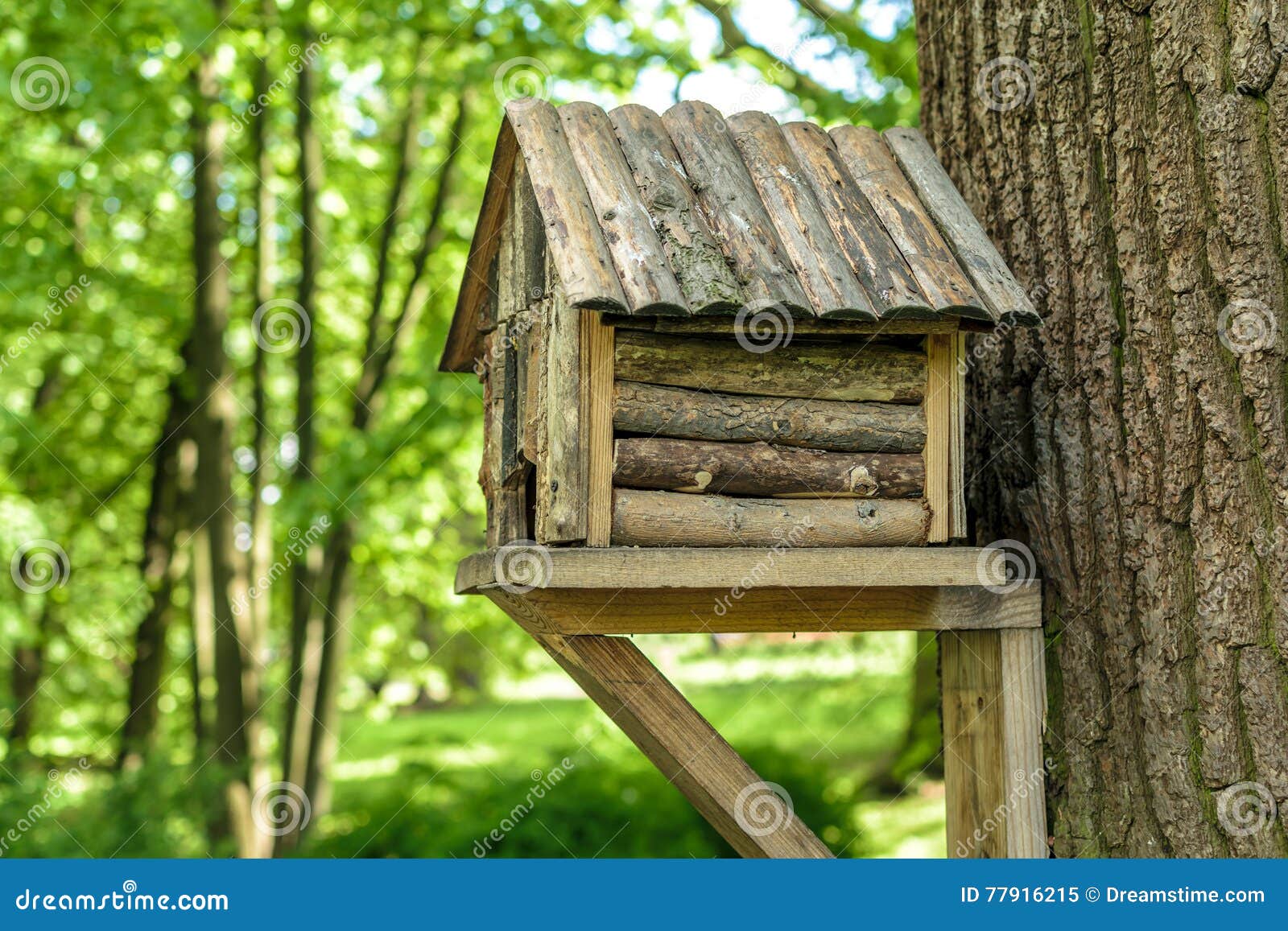 Wooden Tree House for Birds Stock Image - Image of bird, tree: 77916215