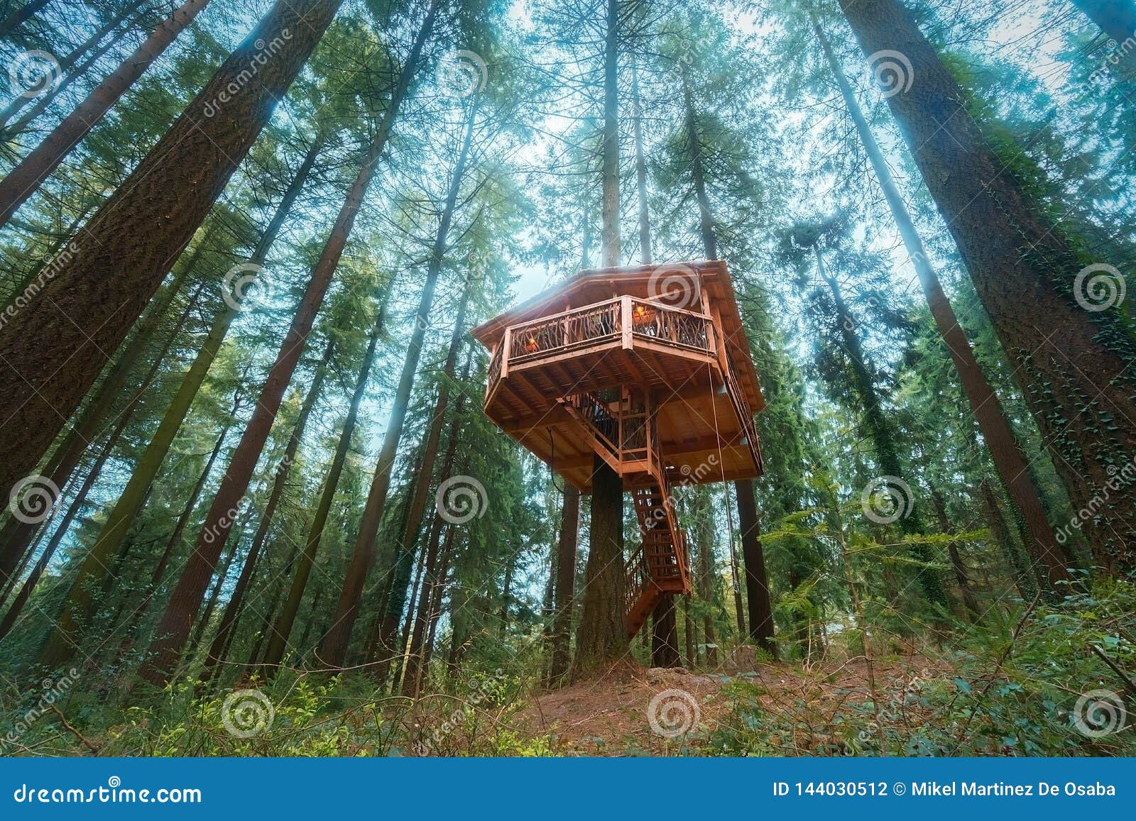 Wooden Tree House in Forest Stock Photo - Image of fantasy, ladder ...