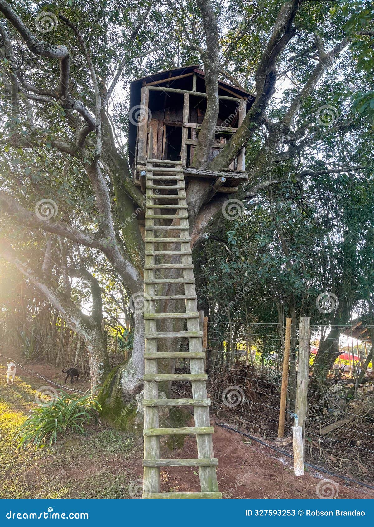 Wooden tree house stock image. Image of port, canal - 327593253