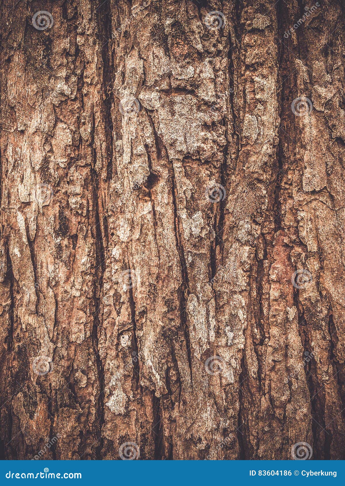 Wooden Tree Texture with Vintage Style Stock Photo - Image of light ...