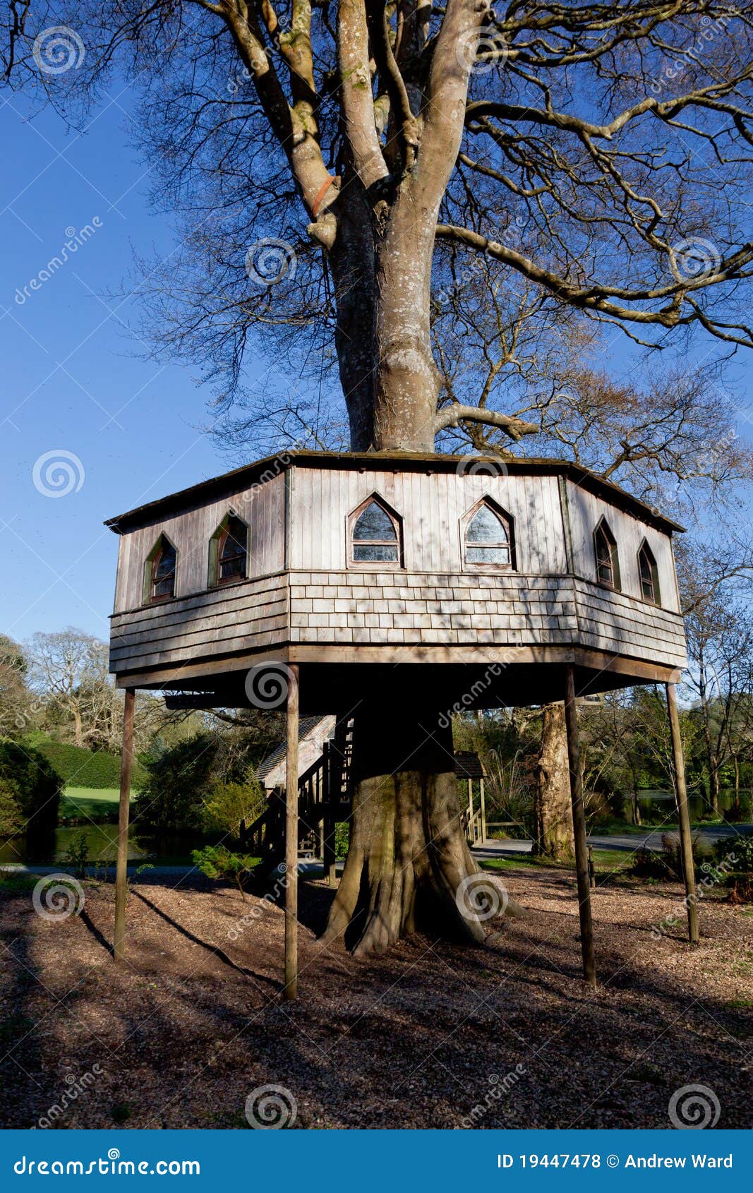 Wooden Treehouse Photographed in England Stock Photo - Image of ...