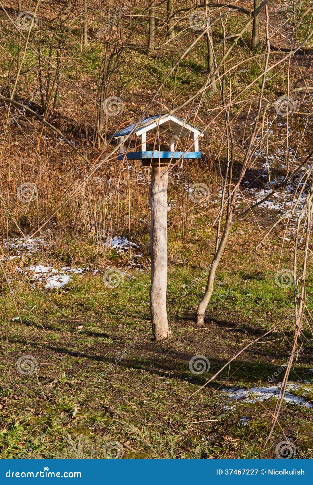 Wooden trough for birds stock image. Image of birds, winter - 37467227