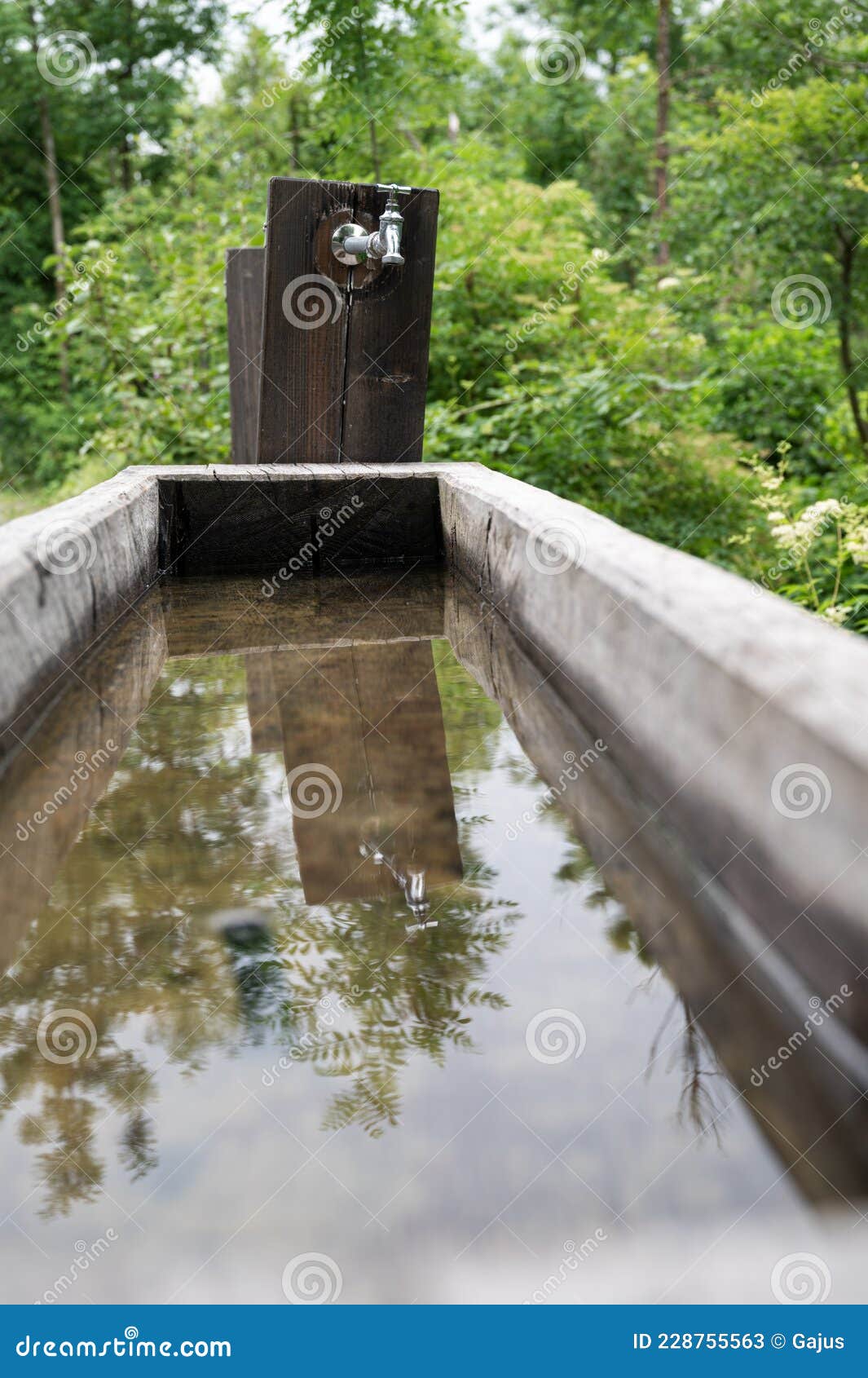 Wooden Trough with Spring Water in Nature Stock Image - Image of faucet ...