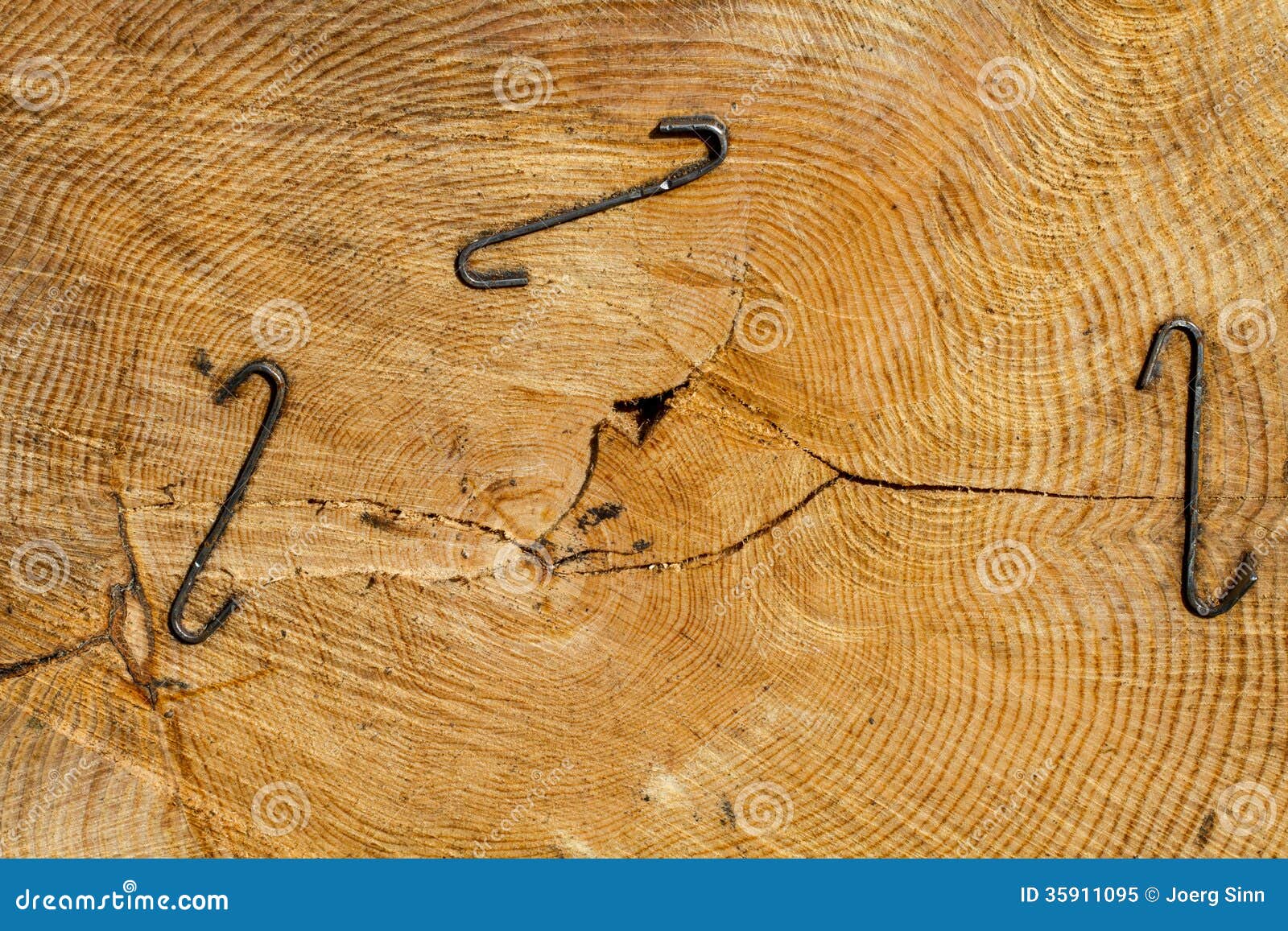 Wooden Trunk Clamps Photos - Free & Royalty-Free Stock Photos from ...