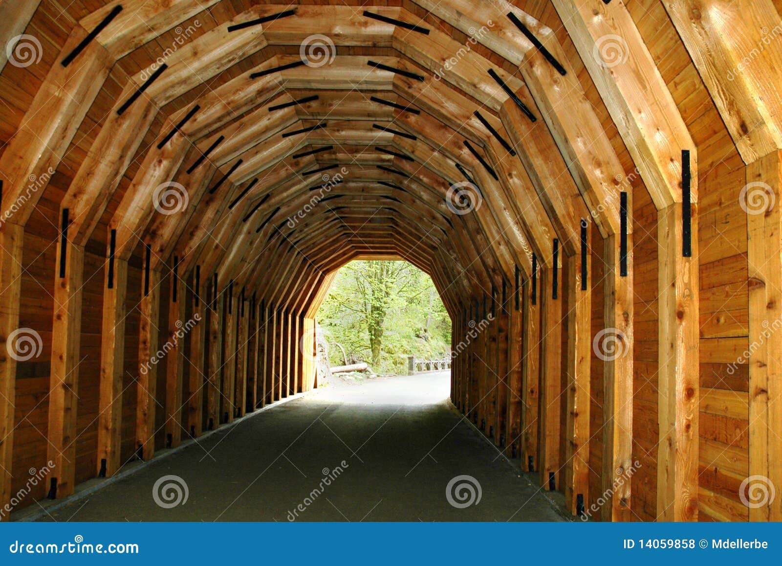 Wooden Tunnel stock photo. Image of brown, road, curve - 14059858