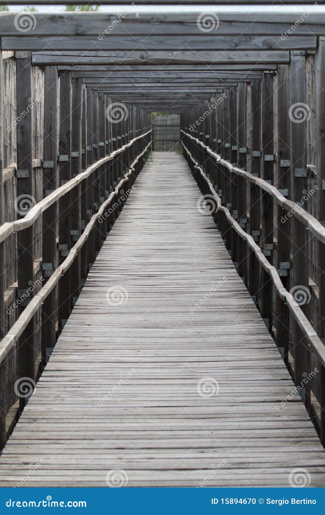 Wooden tunnel stock photo. Image of path, natural, manmade - 15894670