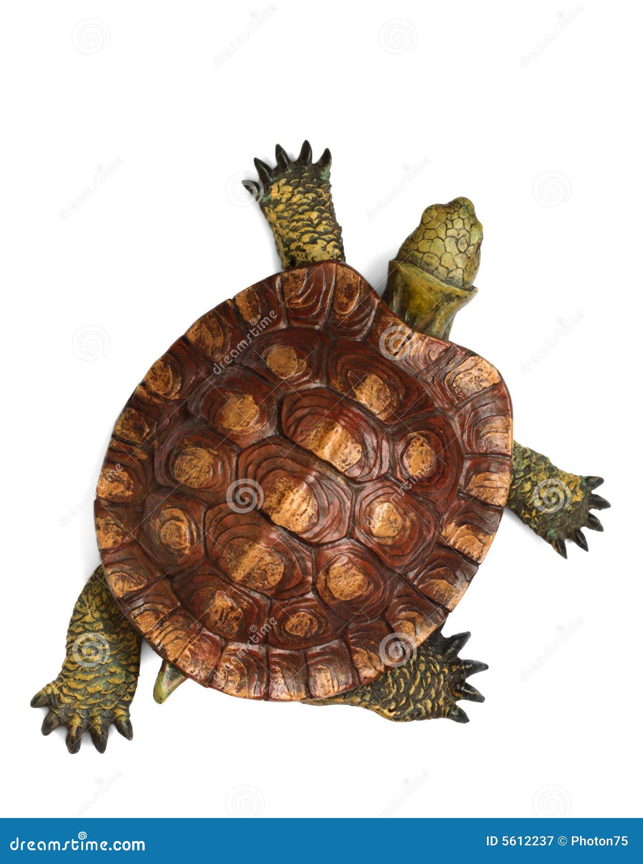 Wooden turtle stock illustration. Illustration of back - 5612237