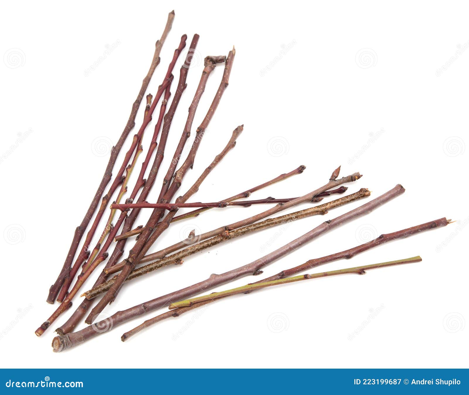Wooden Twigs Isolated on a White Stock Image - Image of white, isolated ...