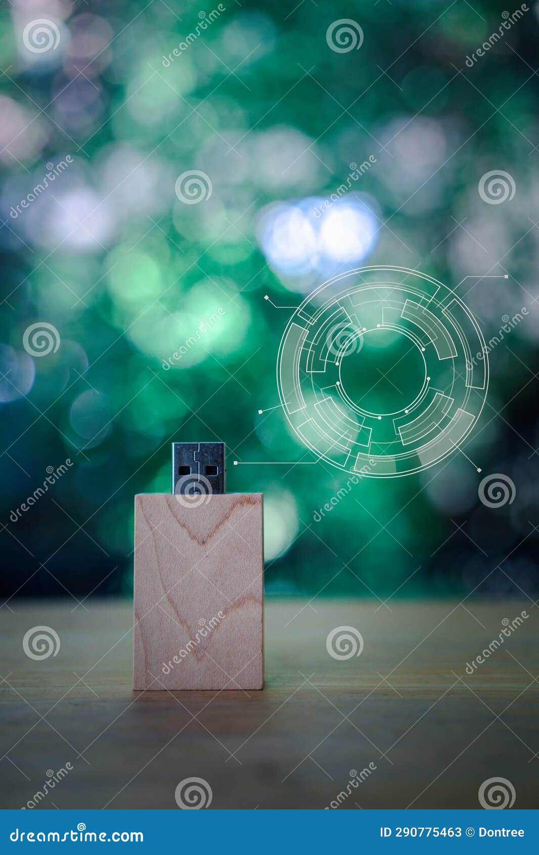 Wooden USB Flash Disk with Empty Circle Diagram Stock Image - Image of ...