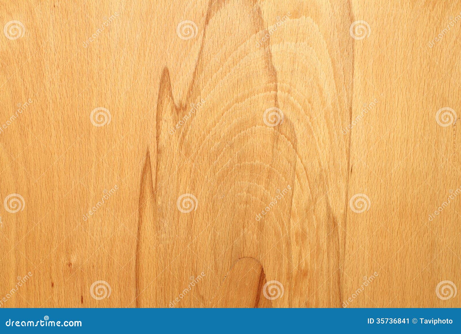 Wooden veneer texture stock image. Image of floor, detailed - 35736841