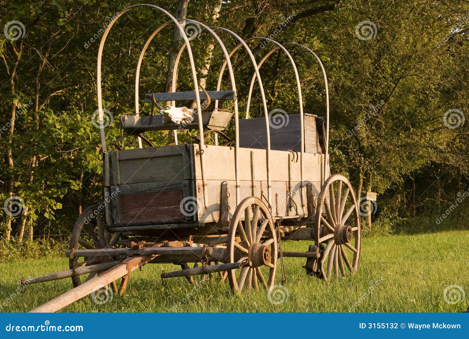 Wooden wagon stock photo. Image of achievement, home, america - 3155132
