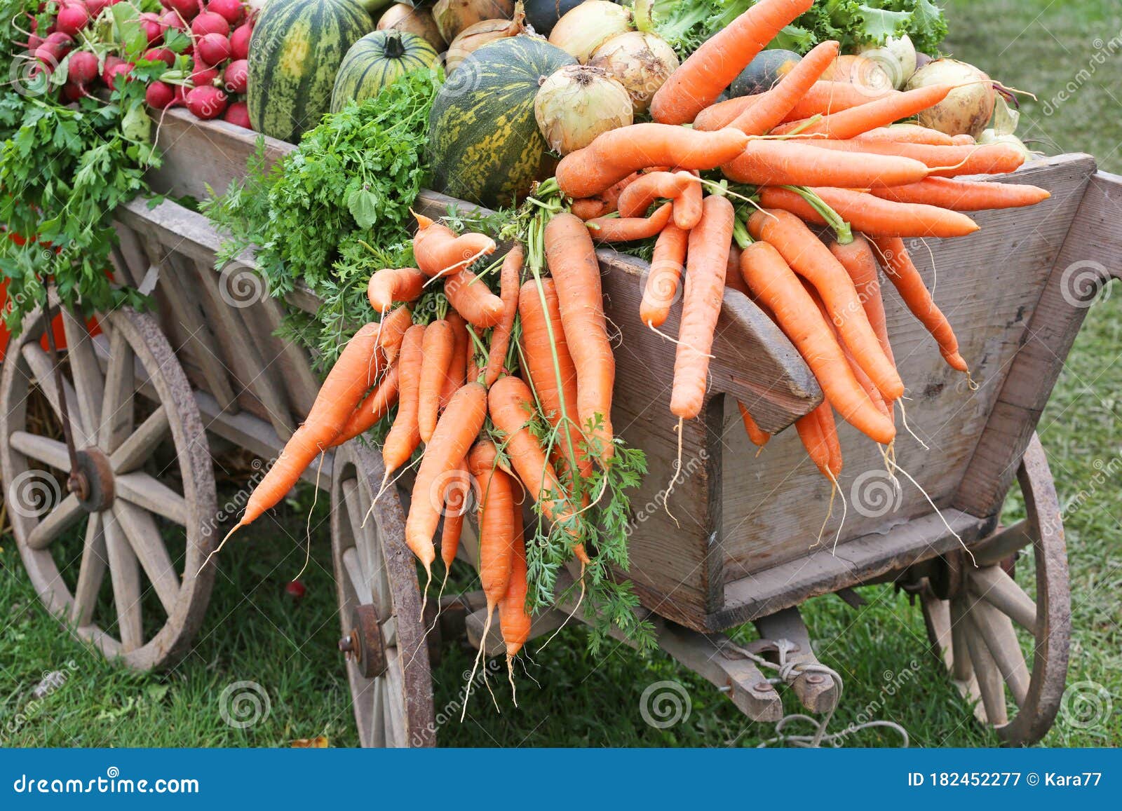 Vegetable_wagon stock image. Image of agriculture, nutrient - 182452277
