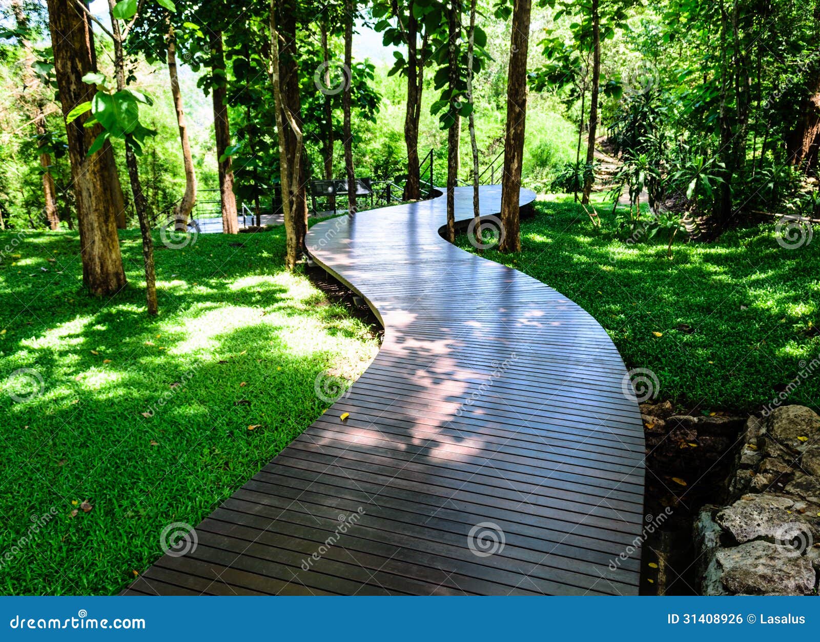 Wooden Walk Curve Way stock photo. Image of outdoor, lake - 31408926
