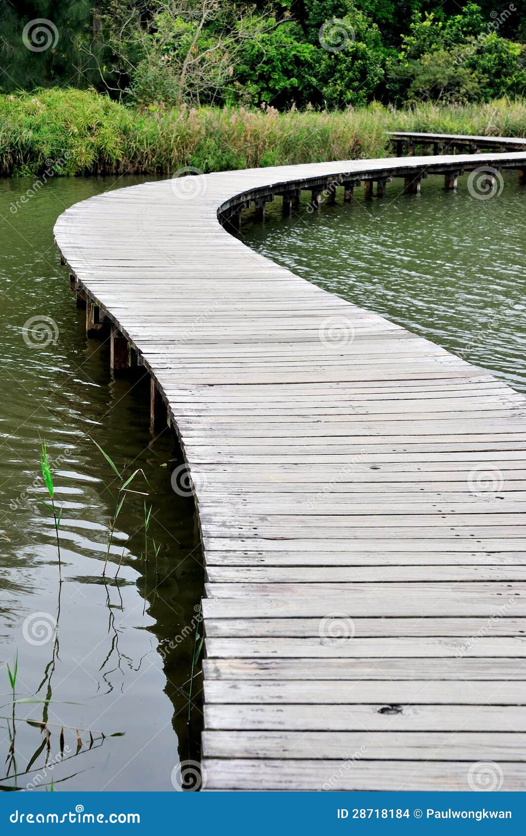 Wooden walk way stock photo. Image of boardwalk, scenery - 28718184