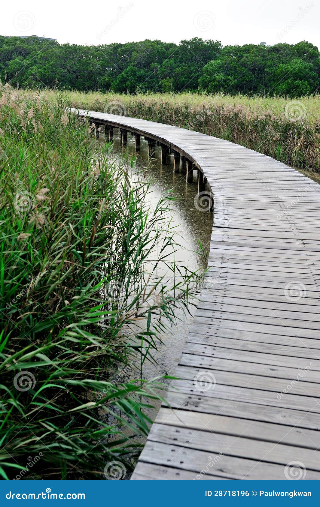Wooden walk way stock photo. Image of footpath, scene - 28718196