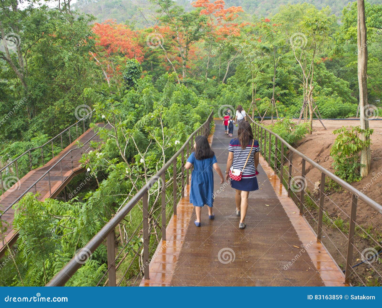 Wooden Walk way editorial stock image. Image of landscape - 83163859