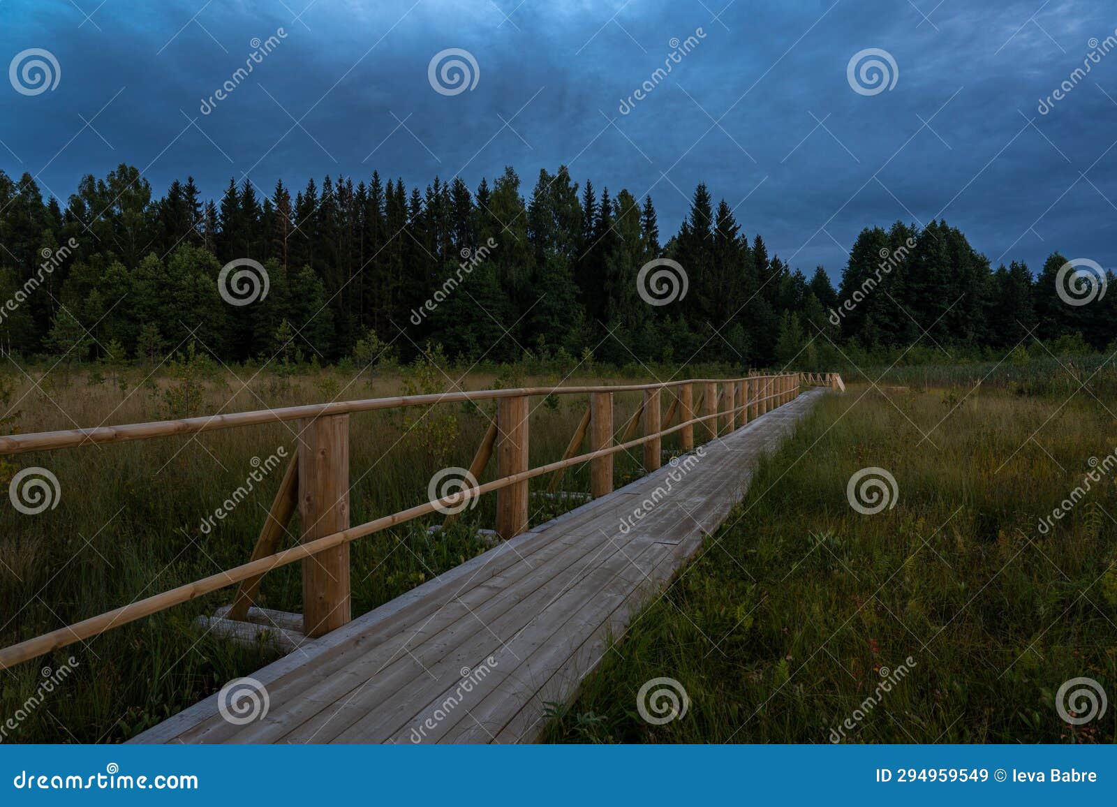 Wooden Walking Dock in the Swamp. Morning View Stock Image - Image of ...