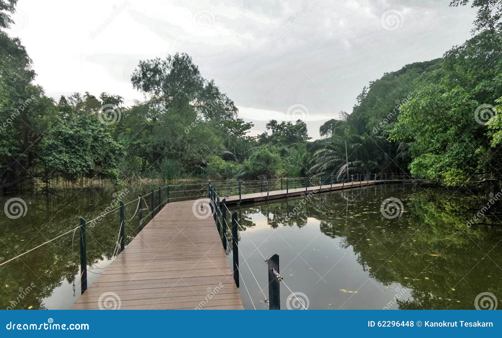 Wooden Walking Passage through Green Lake in the Park Stock Photo ...