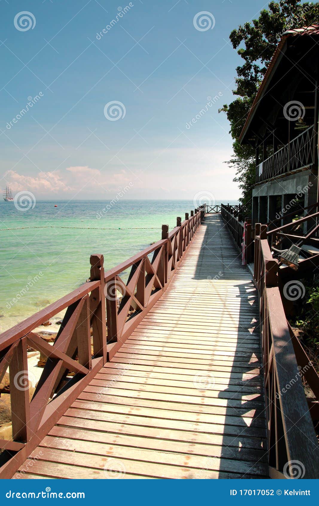 Wooden Walking Path at Beach Stock Photo - Image of green, coral: 17017052