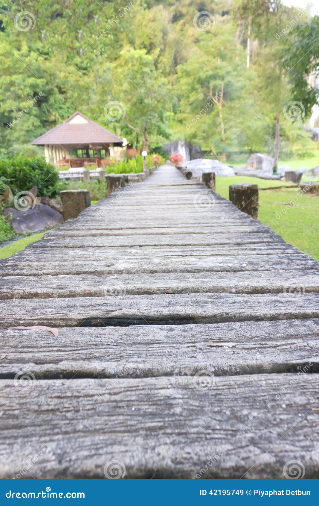 Wooden walking path stock image. Image of curve, rainforest - 42195749