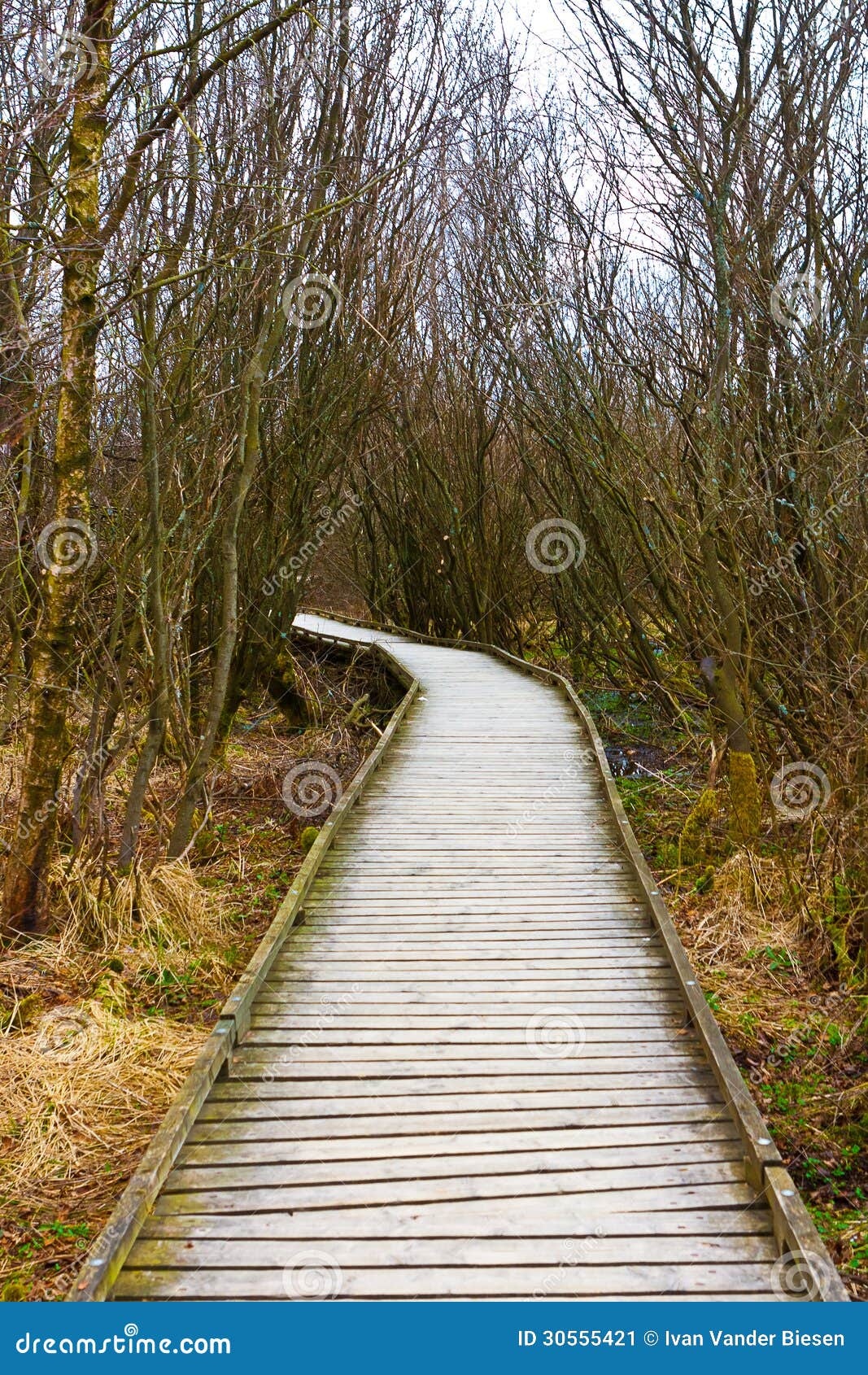 Wooden Walking Path In Bridge Across Lake Royalty-Free Stock ...