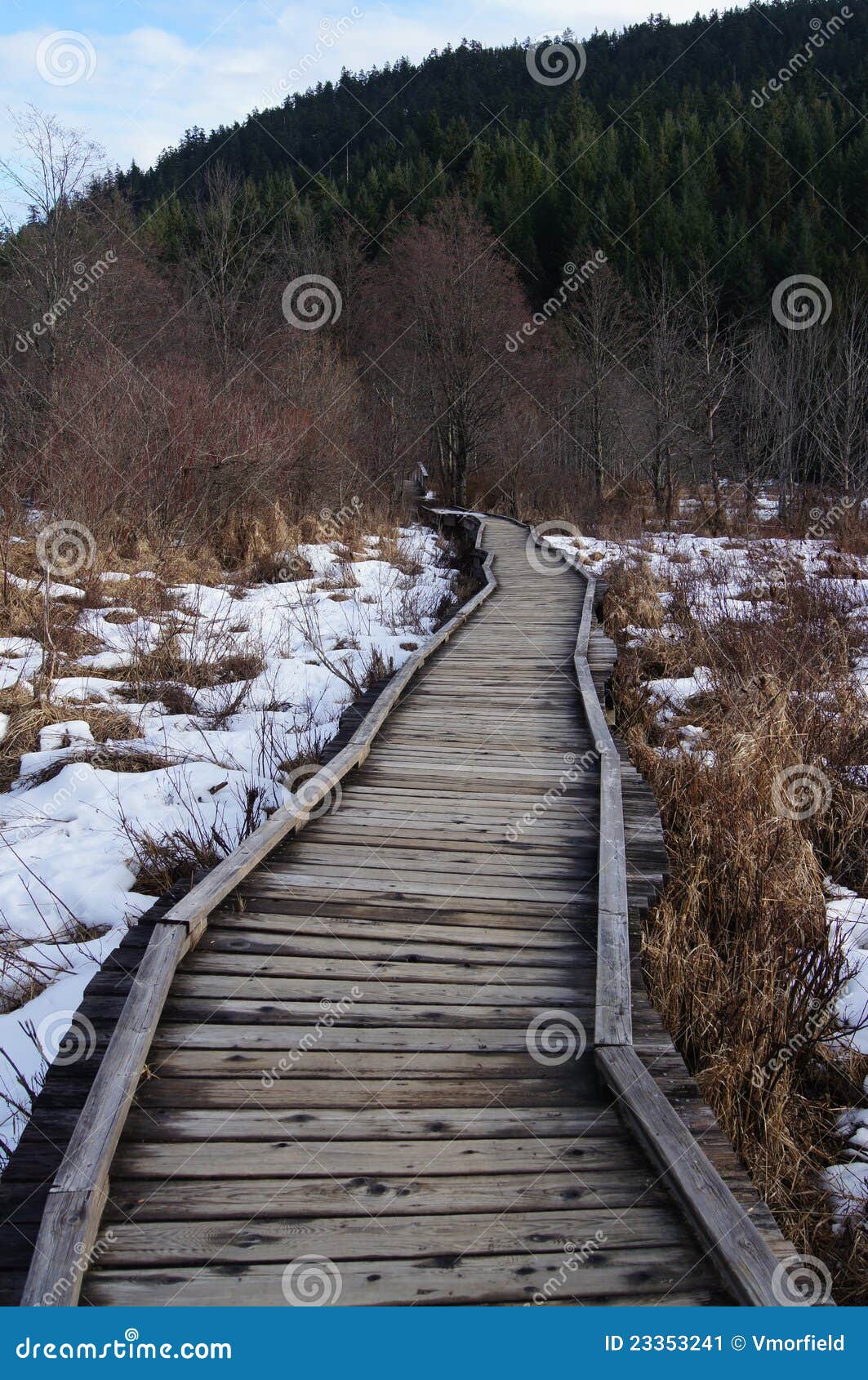 Wooden Walkway stock image. Image of whistler, wooden - 23353241