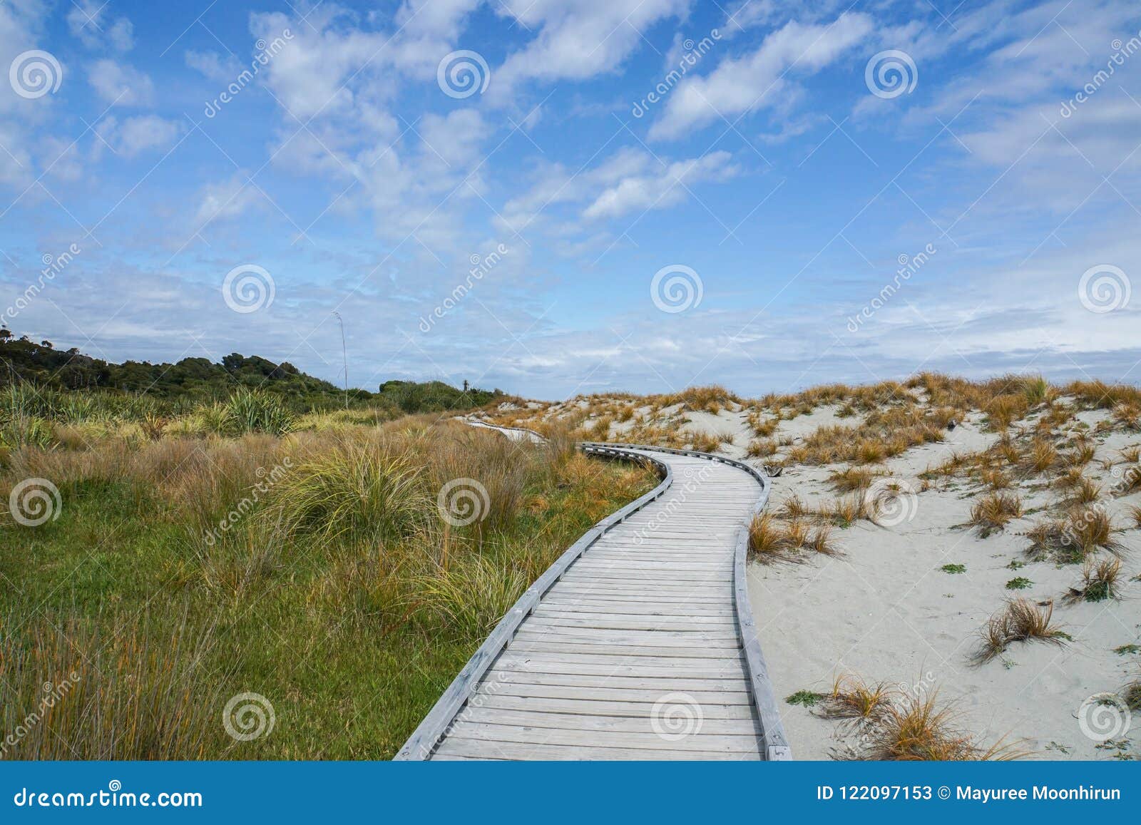 Walkway Along the Sand Beach and Grass Stock Image - Image of nature ...