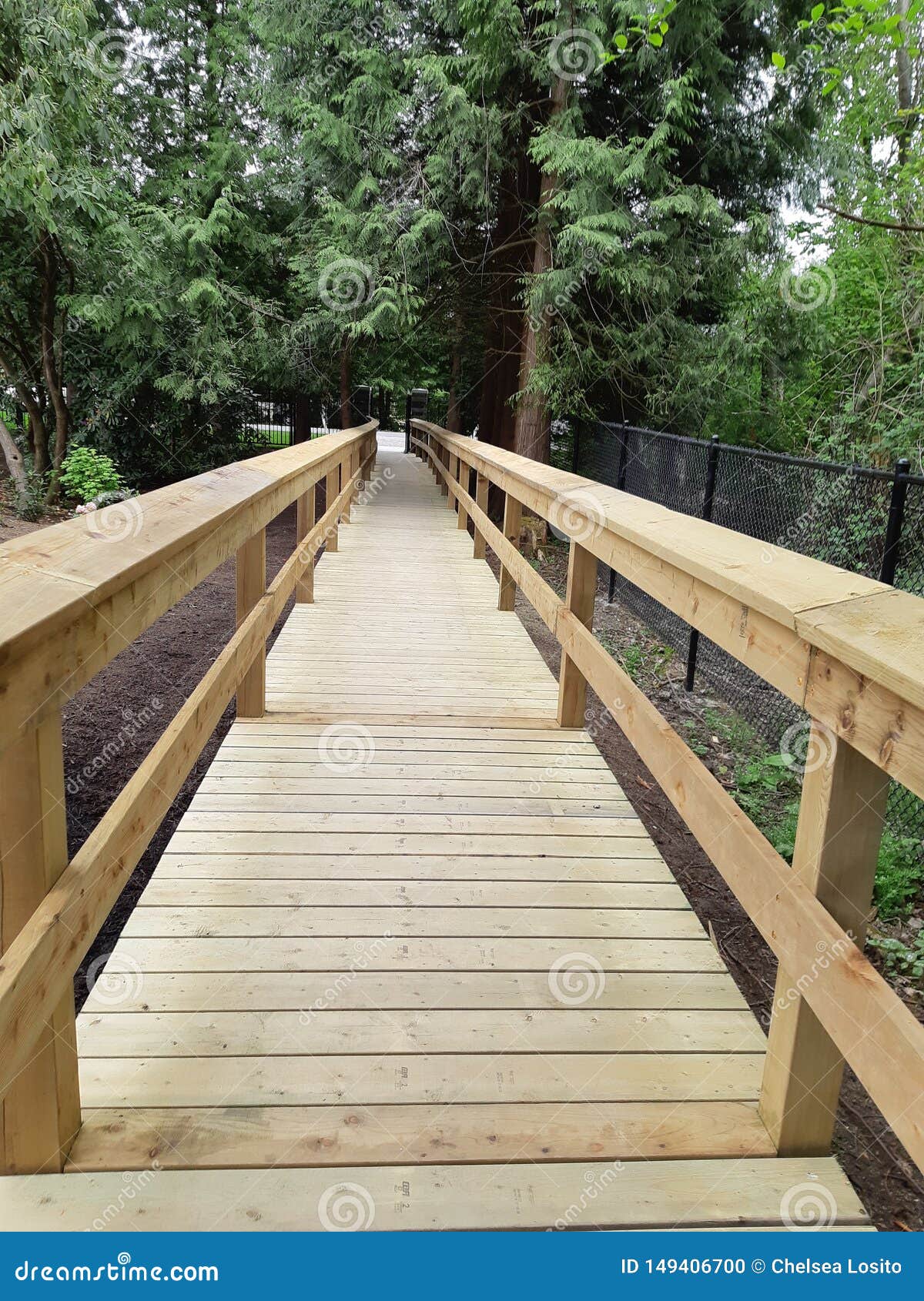 Wooden walkway Bridge stock photo. Image of wooden, wood - 149406700