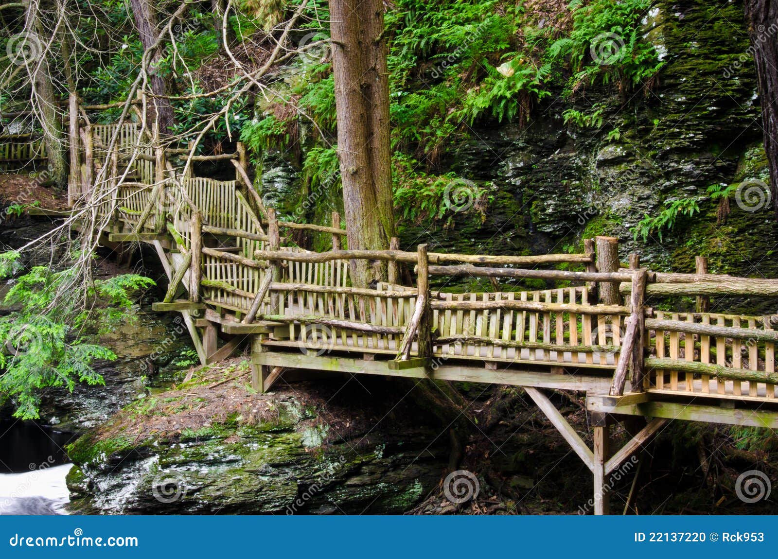 Wooden Walkway in the Forest Stock Photo - Image of evergreen, path ...