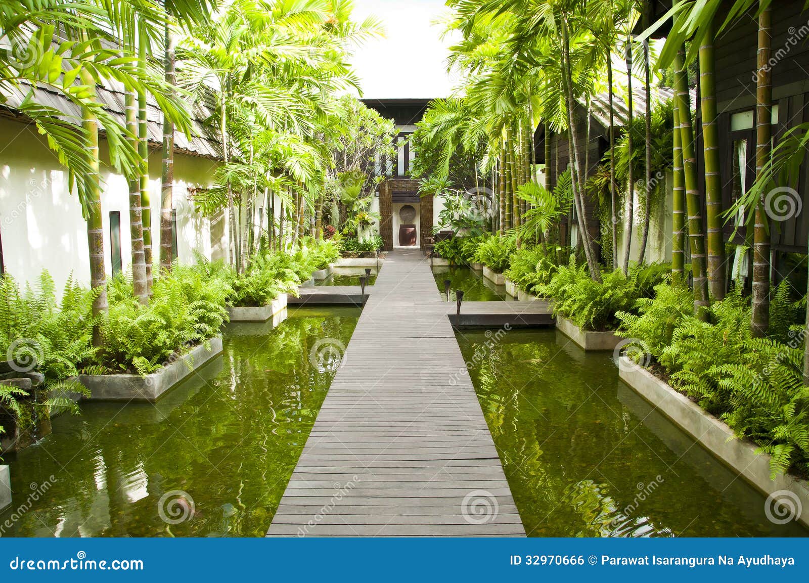 Wooden walkway over pond. stock photo. Image of colorful - 32970666