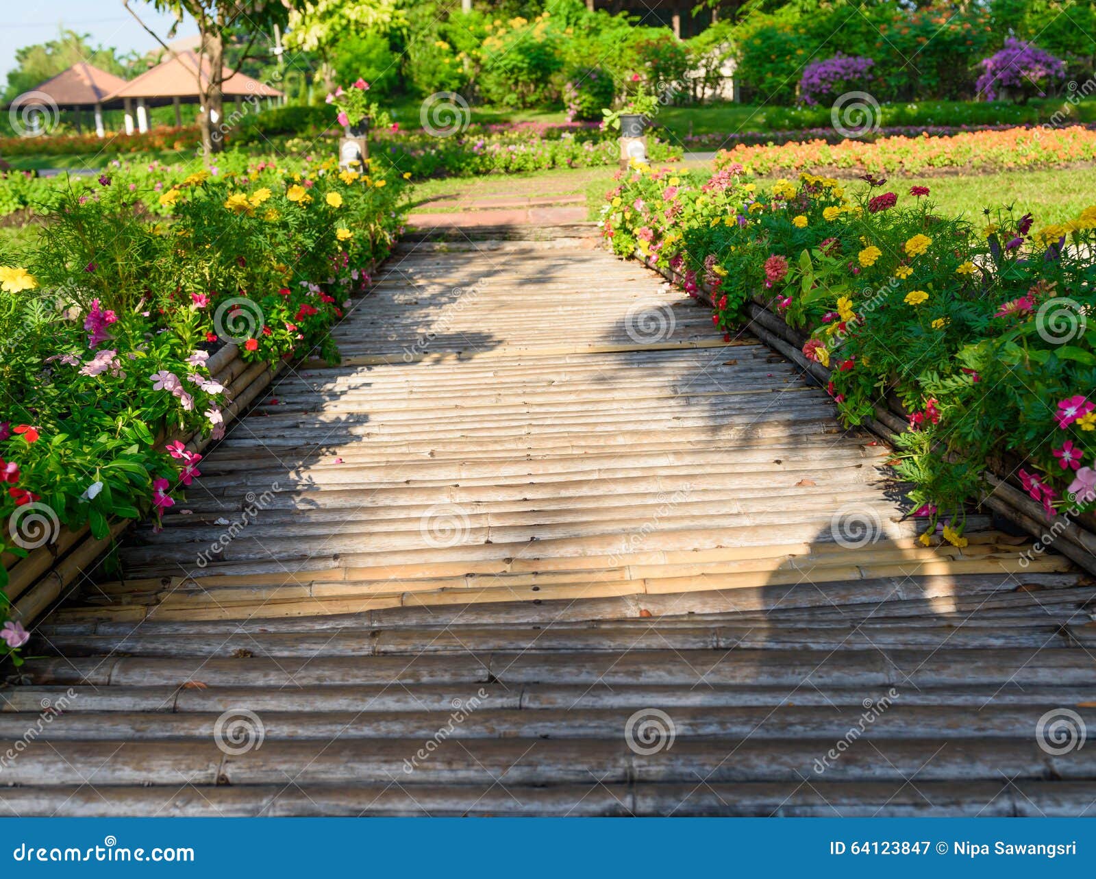 Wooden walkway in park stock image. Image of tropical - 64123847