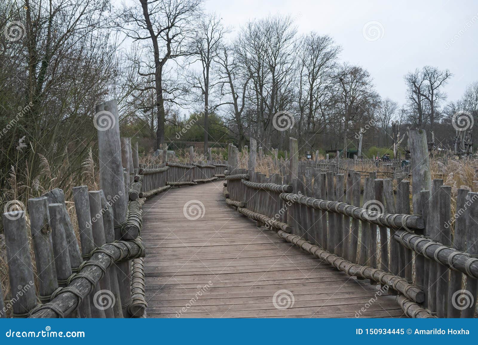 Wooden walkway path stock image. Image of access, tree - 150934445