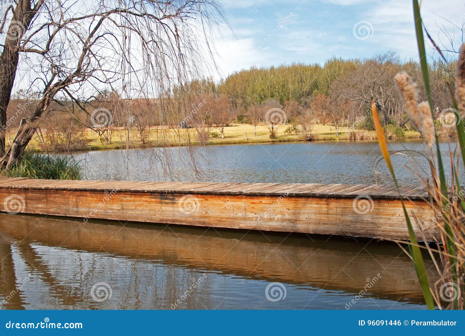 WOODEN WALKWAY on WATER stock photo. Image of light, walkway - 96091446