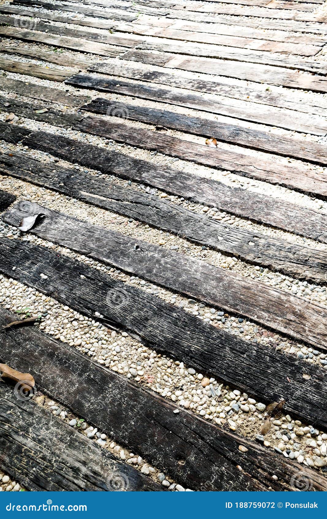 Wooden Walkways Texture Stock Photography | CartoonDealer.com #98102732