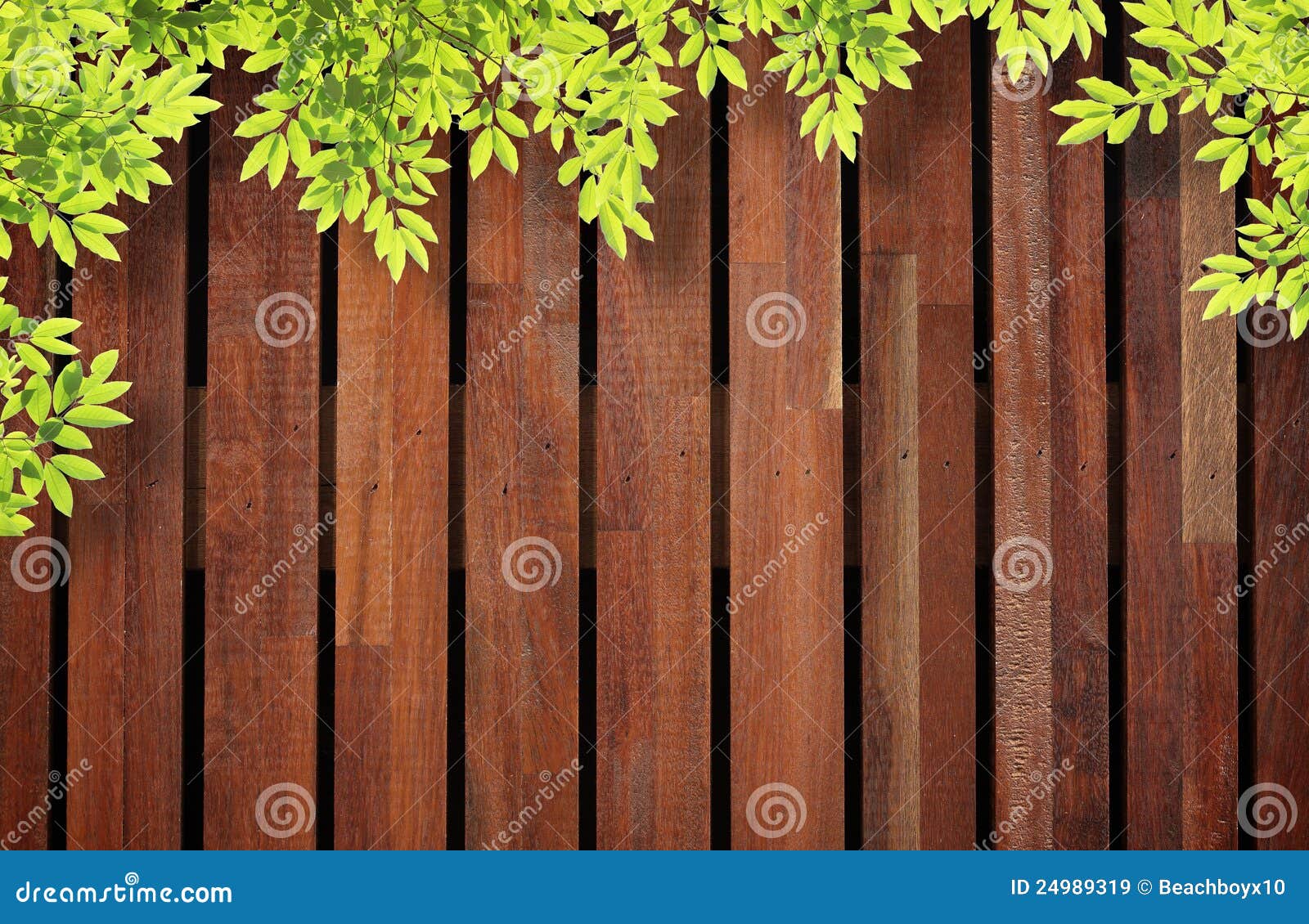 Wooden Wall Background with Tree Leaves. Stock Image - Image of leaf ...