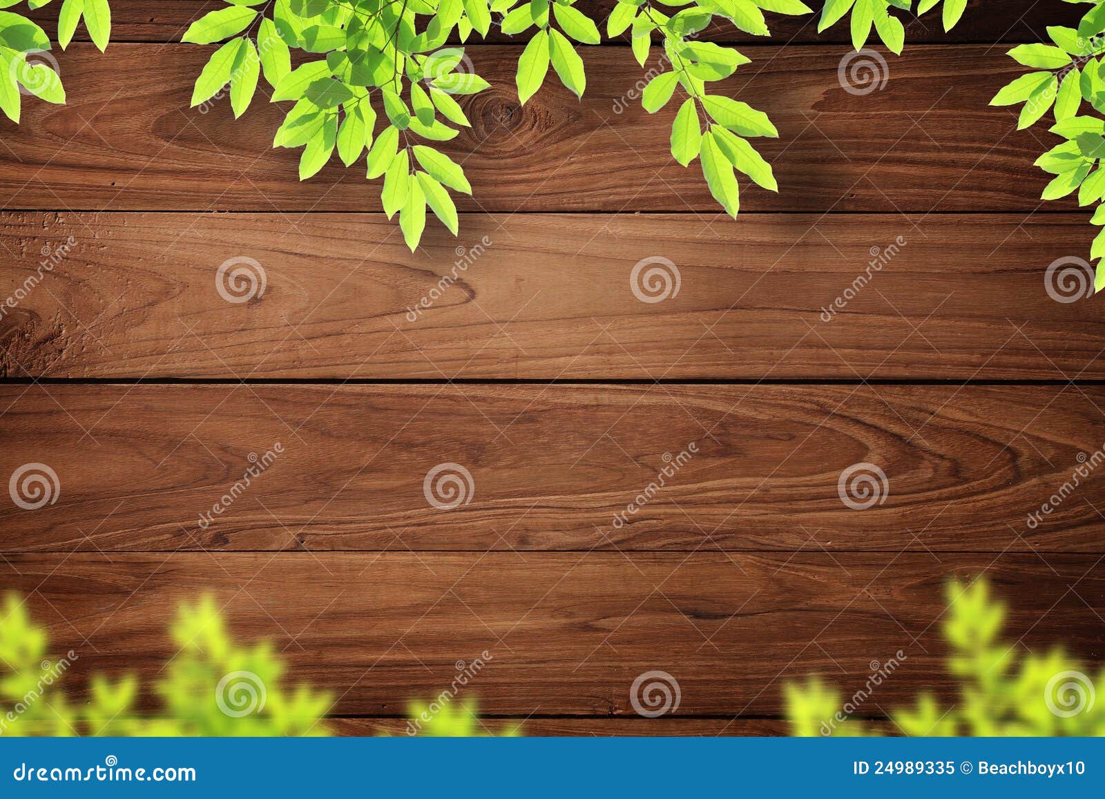 Wooden Wall Background with Tree Leaves. Stock Image - Image of botany ...