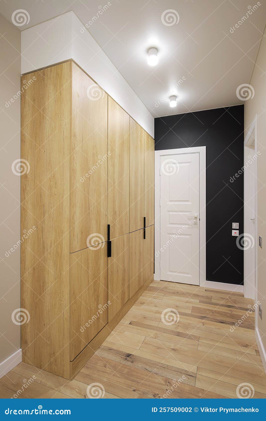 Wooden Wardrobe in the Hallway in the Apartment Stock Photo - Image of ...