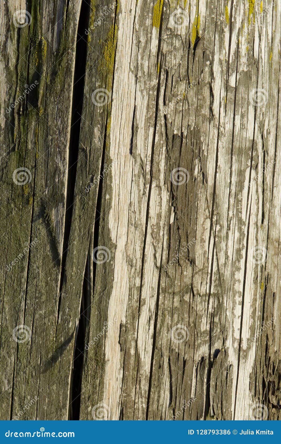 Wooden Harbour Post Texture Stock Photo - Image of moss, textured ...