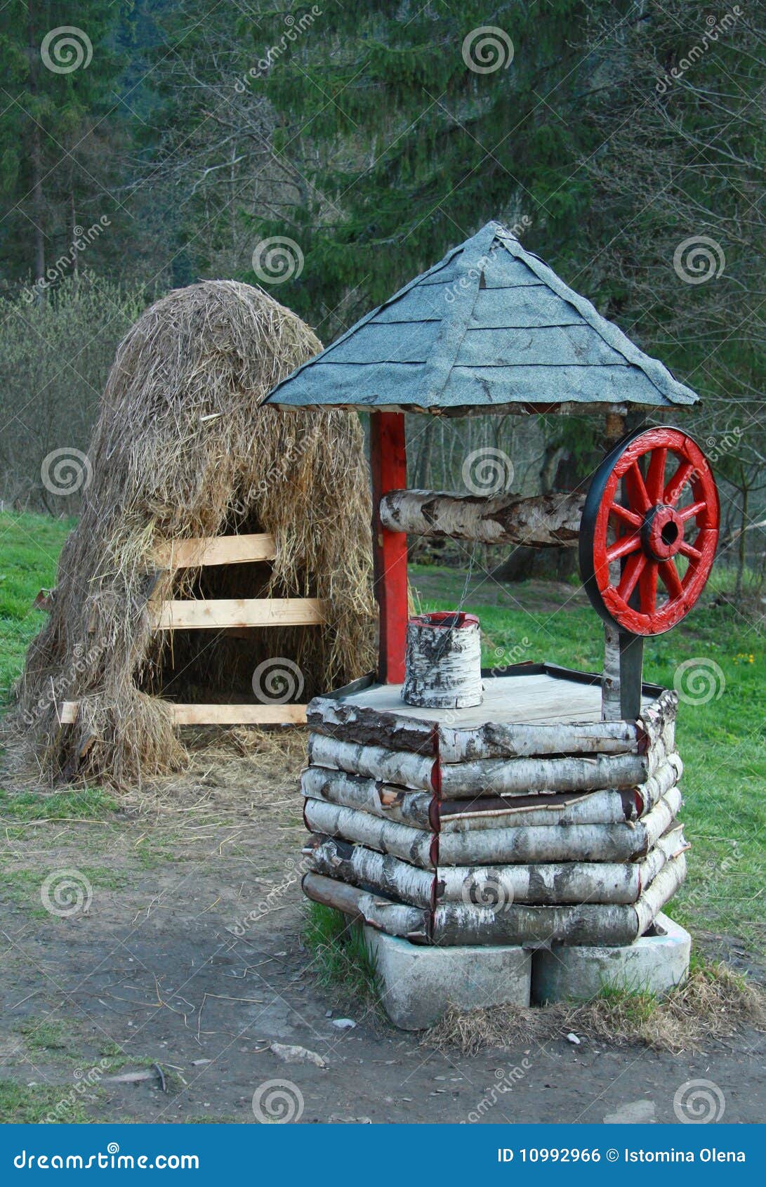 Well In The Forest Stock Photo | CartoonDealer.com #102808086