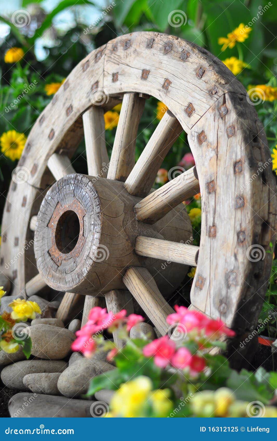 Wooden Wheel stock image. Image of plant, roll, present - 16312125