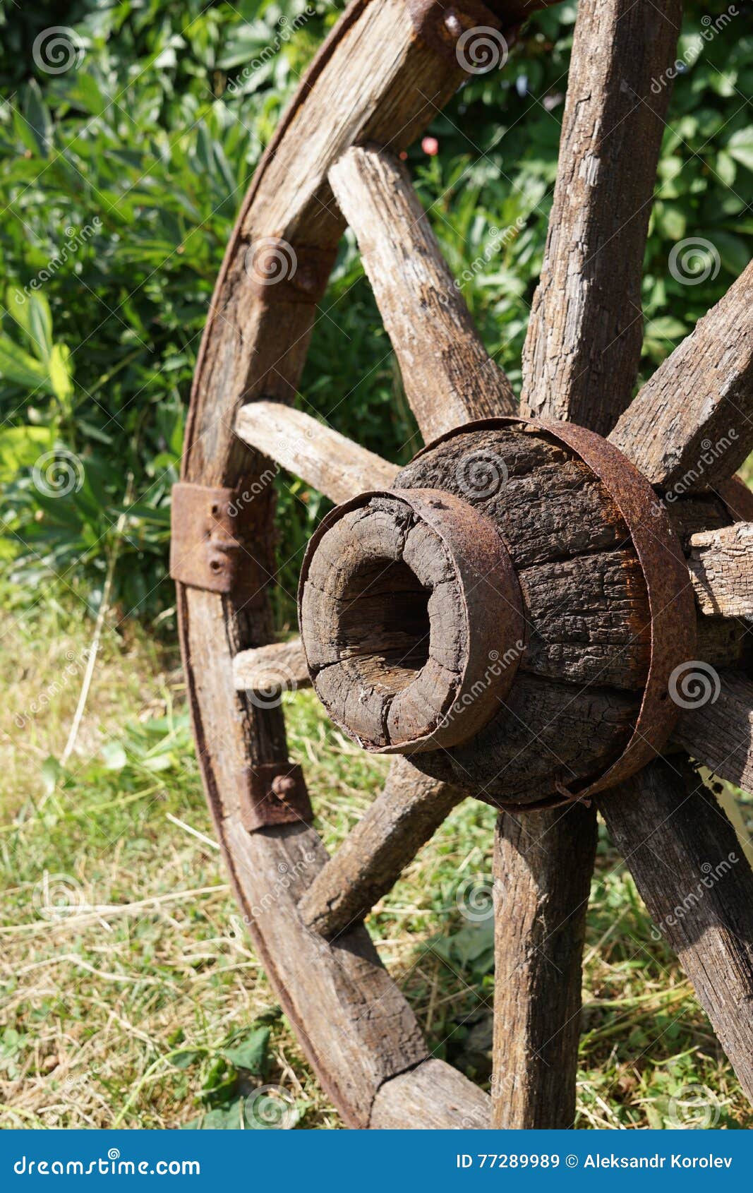 Wooden Wheel on a Background of Green Grass Stock Image - Image of aged ...