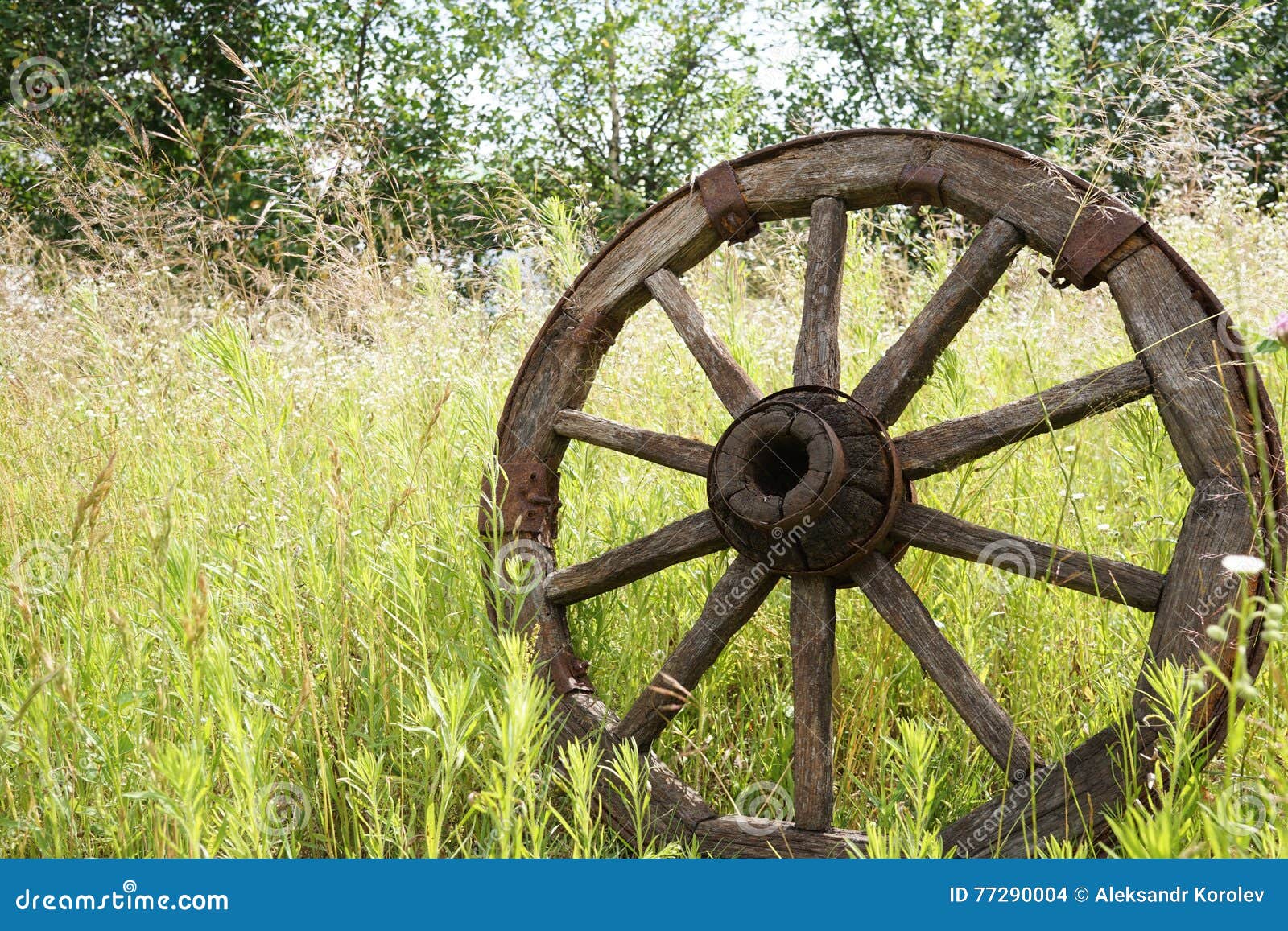 Wooden Wheel on a Background of Green Grass Stock Photo - Image of ...